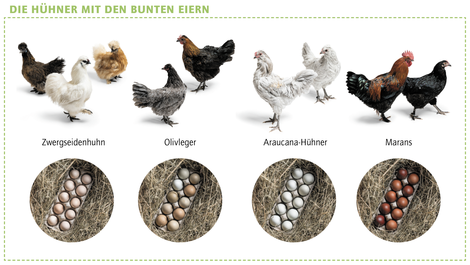 Bunt gelegte Eier - Lust aufs Land