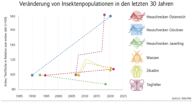 Insekten: Population stabil - Lust aufs Land